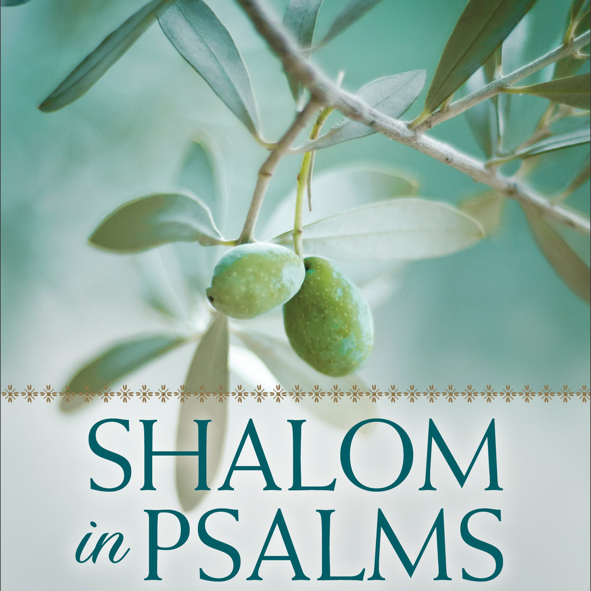 Shalom in Psalms — Christian.co.uk